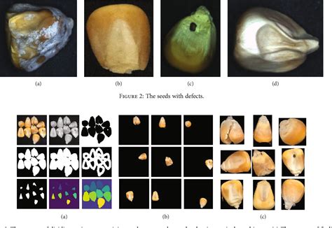 Figure 1 From Research On Classification Method Of Maize Seed Defect