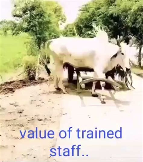 Karthikeyan Sakthivel On Linkedin Current Scenerio Theres No Value