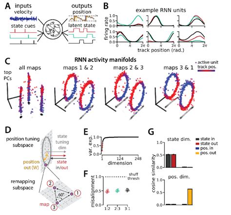 An Rnn Model Of 1d Navigation And Identification Of Three Latent States Download Scientific