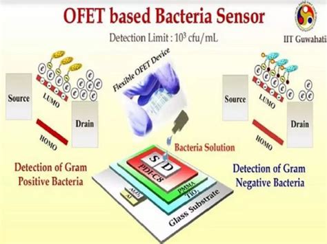 Organic Field Effect Transistor Helps Detected Bacteria