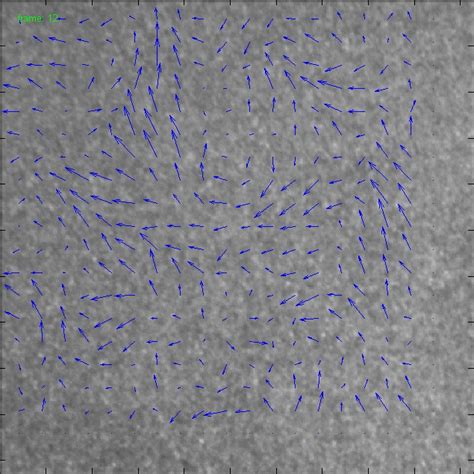 Particle And Speckle Imaging Velocimetry Applied To A Monostatic Lidar