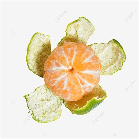 껍질을 벗긴 오렌지 귤 1 개 한 조각 껍질을 벗기다 주황색 Png 일러스트 및 이미지 에 대한 무료 다운로드 Pngtree