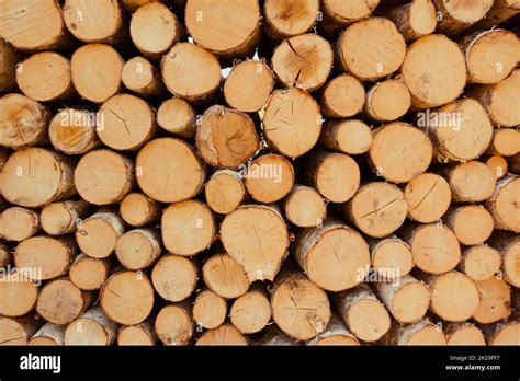 Stack Of Tree Trunks Texture Background Stock Photo Alamy
