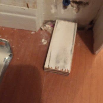 Ace Hardware Of Deland Updated January 2026 13 Photos And 18 Reviews