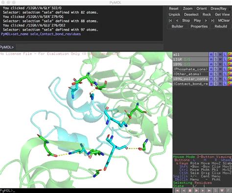 使用 Pymol 可视化蛋白质 蛋白质对接 知乎