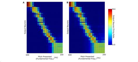The Neuronal Firing Rate Profiles Were Sorted Along The Y Axis After