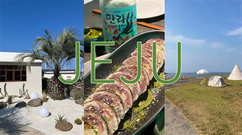 Vlog 제주도 친구네 놀러가기🏝 제주여행 브이로그 삼합소 함덕숙성도 카페치즈태비 시적인순간 세화갈비 함덕해장국 플레이스캠프 제주동쪽여행 제주도민