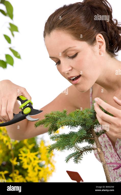 Gardening Woman Cutting Tree With Pruning Shears On White Background Stock Photo Alamy