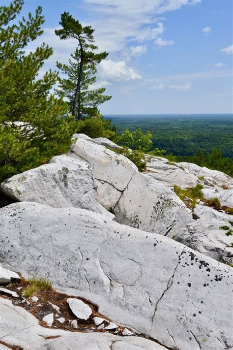 vast forest and quartzite bedrock along the crack trail at killarney