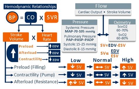 New Badges Icu Ccu Set Hemodynamics Artofit
