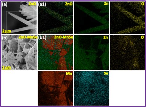 Eds Mapping Results Of A Zno B Zno Mnse Download Scientific Diagram