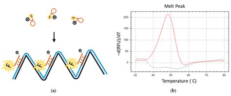 Introducing Triplex Forming Oligonucleotide Into Loop Mediated Isothermal Amplification For