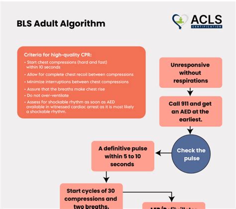 Bls Algorithms Complete Basic Life Support Protocol Guide Aclsnow