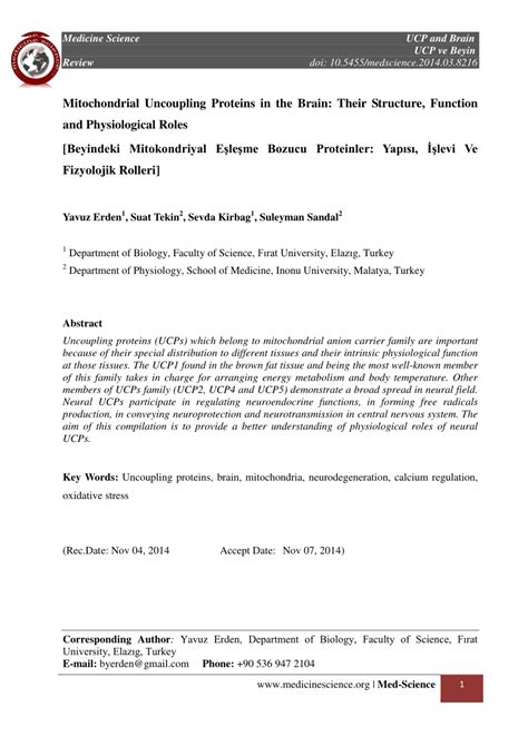 Pdf Mitochondrial Uncoupling Proteins In The Brain Their Structure Function And