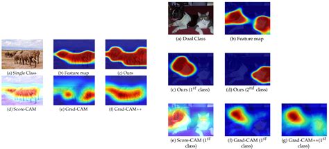 sensors free full text rethinking gradient weight s influence over