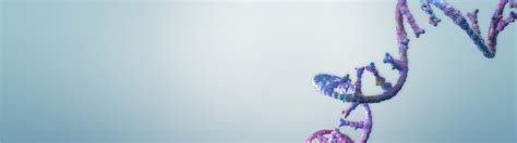 Genetics Course Help Online Textbook Solutions Ai Tutor Exam Prep And More