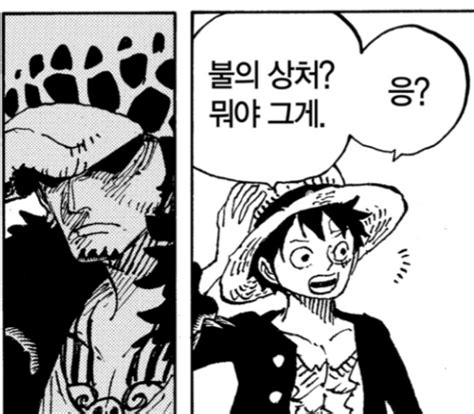 투디갤 원피스 도플라밍고 눈 떡밥