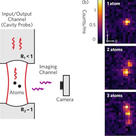 A A Fiber Based Single Sided High Bandwidth Optical Cavity
