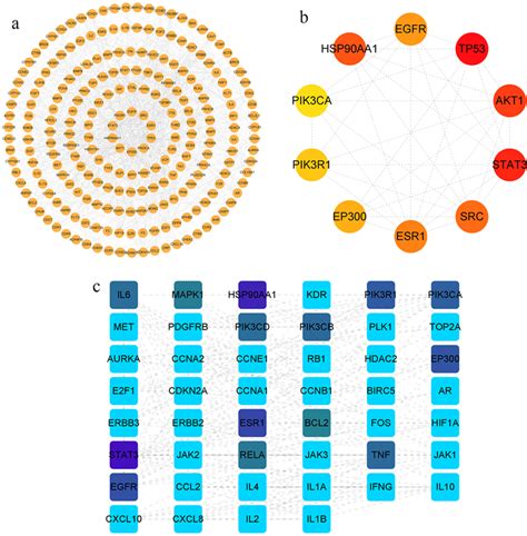 基于网络药理学方法研究 黄芪当归”药对治疗非小细胞肺癌的潜在机制