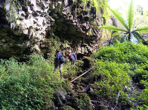 Hike 027 Ragia Forest Hiking Adventures