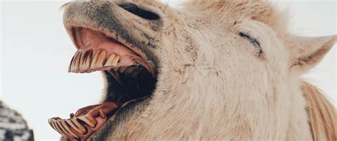 The Weekend Coder Whats Your Favorite Drink To Power Through Coding