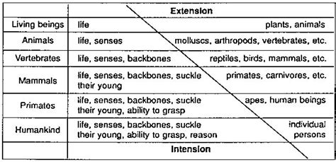 traditional systems of logic extension and comprehension