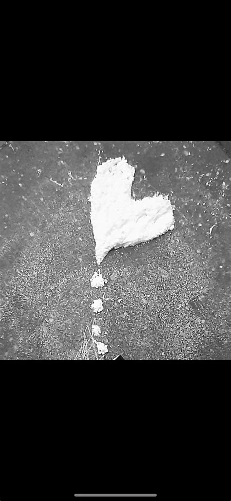 Lekkergaan Nl Reviews 2024