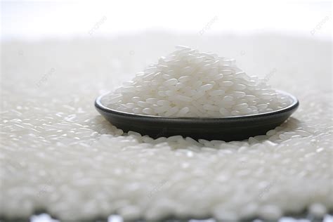 흰 쌀 더미에 앉아 흰 쌀 곡식 나무 농작물 배경 일러스트 및 사진 무료 다운로드 Pngtree