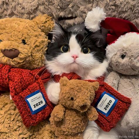 第一期： 特殊字符 深入理解mybatis 特殊字符 从jdbc到mybatis——持久层开发的转折点 特殊字符 Csdn博客