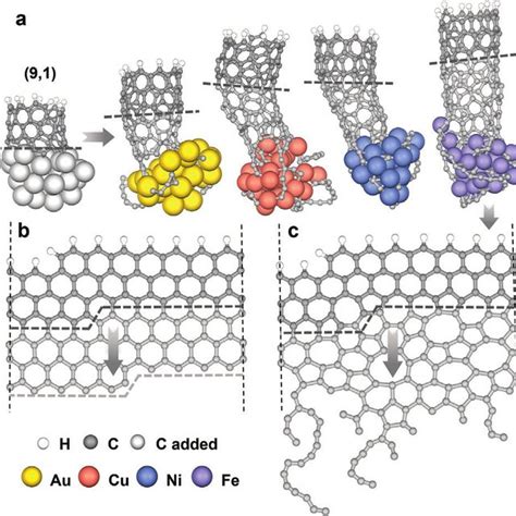 Carbon Chain Formation At The Cnt Catalyst Interface During The Dft Md