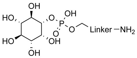 Ip1 Amine Aat Bioquest