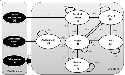 Markov Process Multistate Tables Transitions At Age X Adjustment Of Download Scientific