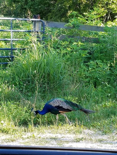 Setting Device Owner App Problem Workspace Has Been Locked Android