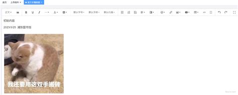 基于 vue3 vite4 typescript5 element plus 从0到1搭建企业级后台管理系统 有来技术 博客园