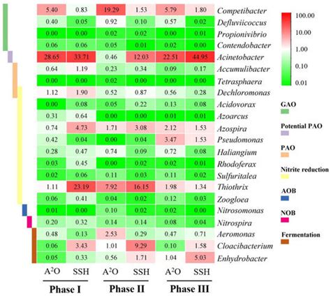 Impact Of Dissolved Oxygen On The Performance And Microbial Dynamics In Side Stream Activated