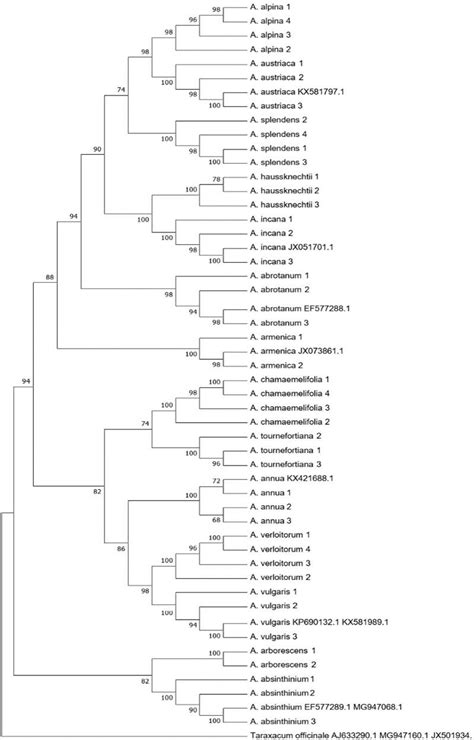 phylogenetic tree obtained from the co evaluation of sequences of the