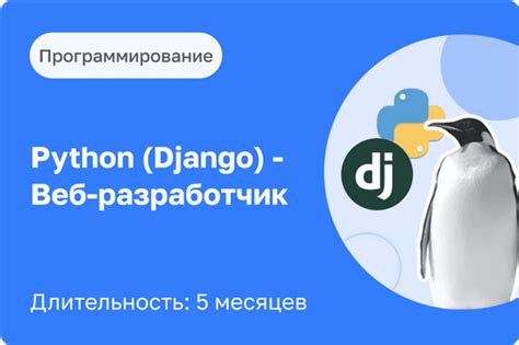 Курс Python веб разработчик Django в Ростове на Дону курсы питон