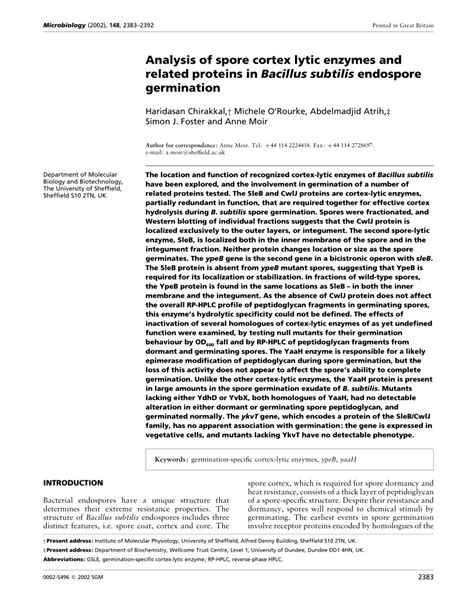 Pdf Analysis Of Spore Cortex Lytic Enzymes And Related Proteins In Bacillus Subtilis Endoscope