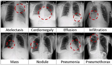 Github Turhancan Convolutional Neural Network For Object Tracking The Project We Prepared