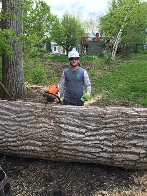 In Need Of Tree Services Contact The Minnesota Tree Experts Today