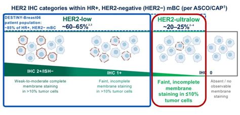 Paolo Tarantino What Is Her2 « Ultralow Breast Cancer And Why Should You Care Oncodaily
