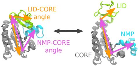 Sampling Macromolecular Transitions Research Beckstein Lab