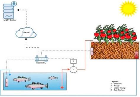 IoT Aquaponics System Overview Download Scientific Diagram