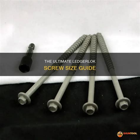 The Ultimate Ledgerlok Screw Size Guide Shuntool