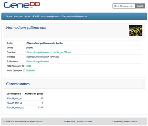 Species Page For Plasmodium Gallinaceum Using Information And Image