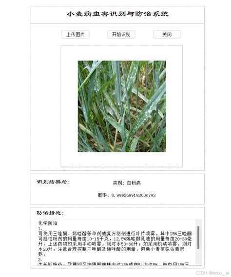 小麦病虫害识别与防治系统，resnet50，mobilenet模型【pytorch框架python源码】resnet小麦虫害图片分类算法