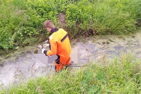 Спасатели достали страшное из канавы под Тосно 9 июня дежурной смене в Тосно поступили данные