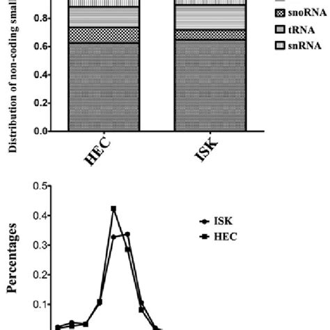 Overview Of Sequencing Data A Distribution Of Non Coding RNA In The Download Scientific