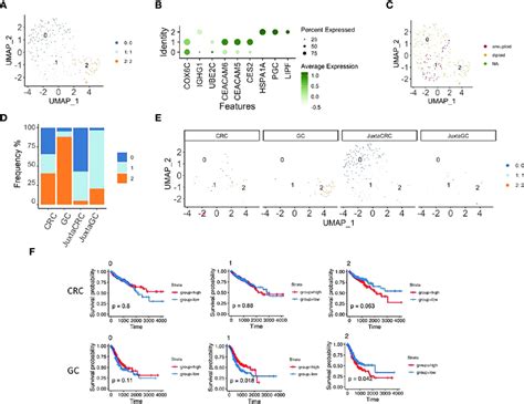 Specific Epithelial Subset Enrichment In Different Tmes A Umap Plots