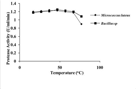 Effect Of Temperature On Protease Activities Of The Isolates Download